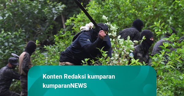 Foto: Petugas Gabungan Musnahkan 30 Hektar Ladang Koka di Honduras ... Foto: Petugas Gabungan Musnahkan 30 Hektar Ladang Koka di Honduras ...
